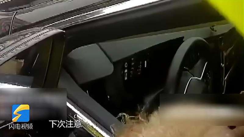 抱狗开车?“奇葩”司机因妨碍安全驾驶和不系安全带被扣10分罚款...