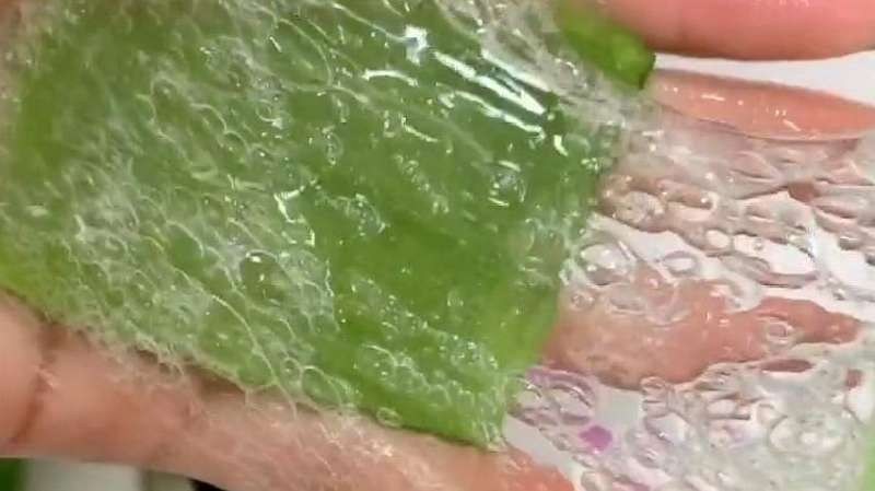 新鲜的芦荟不仅可以敷脸,竟然还能这样做!