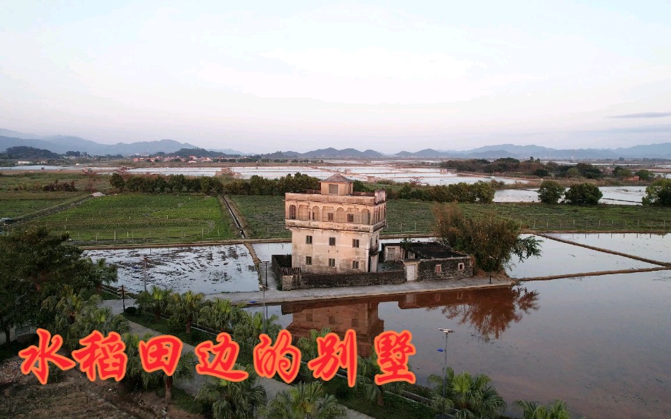为什么这个村都在水稻田边建别墅?这些别墅有什么功能呢?它是谁建的...