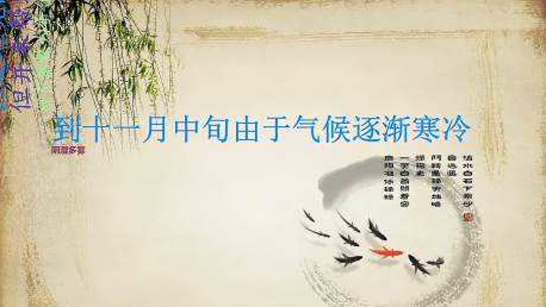 “索姆河战役”一战中,英法联军与德军的惨烈阵地战