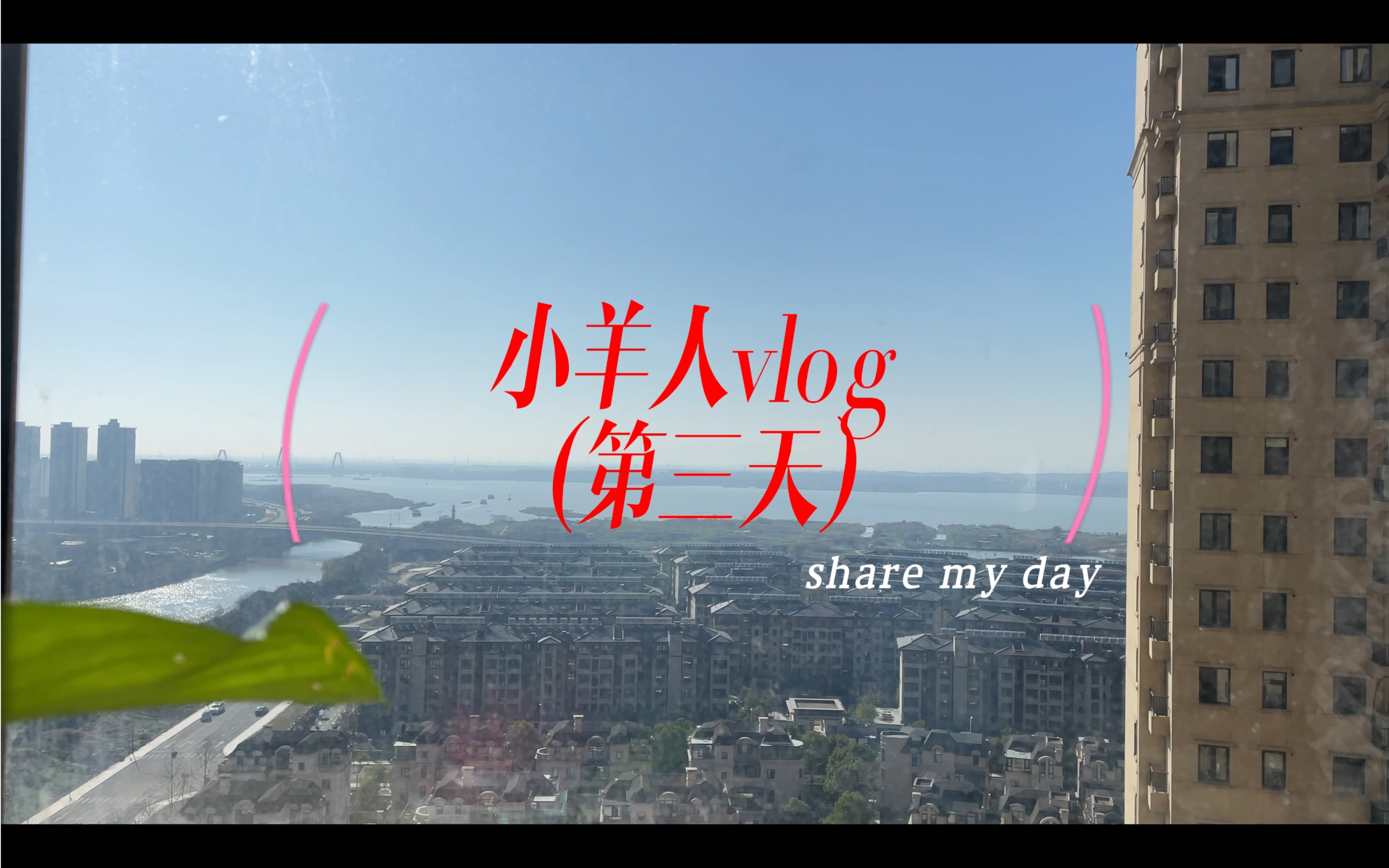 感染新冠的第三天!