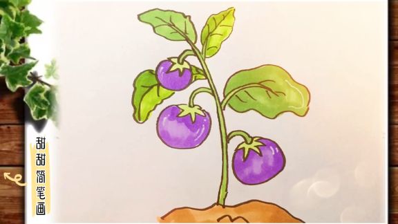 儿童趣味简笔画,蔬菜系列,圆圆大茄子