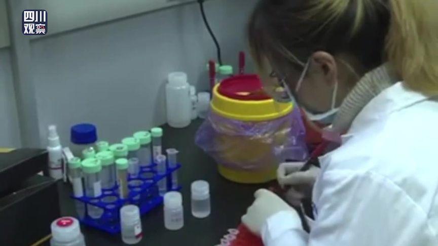 最快1小时出结果!成都研发出新冠病毒核酸检测试剂盒
