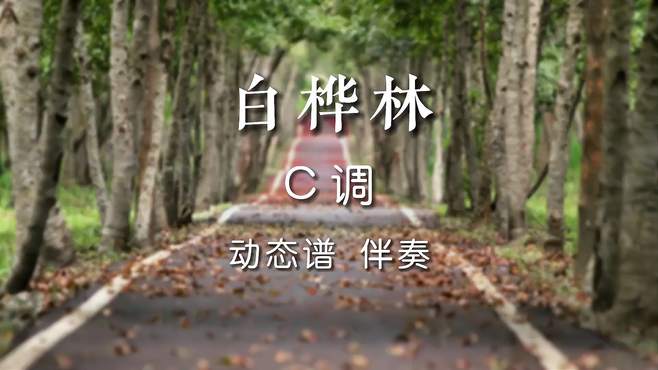 口琴动态简谱教学《白桦林》C调动态谱+伴奏