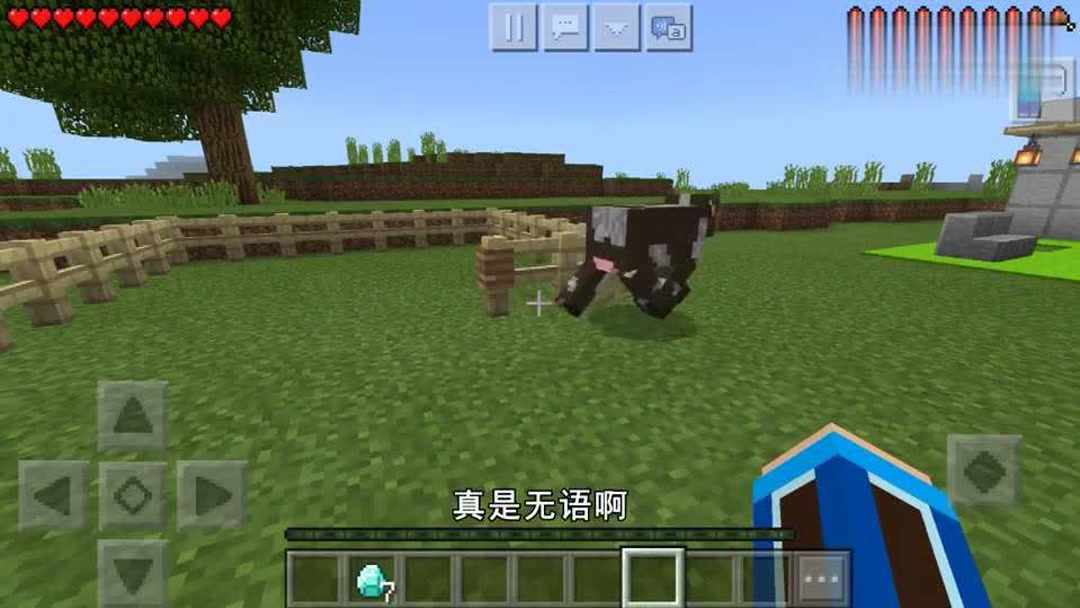 我的世界:爆爆穿红衣服被熊孩子养的西班牙斗牛追了三条街!