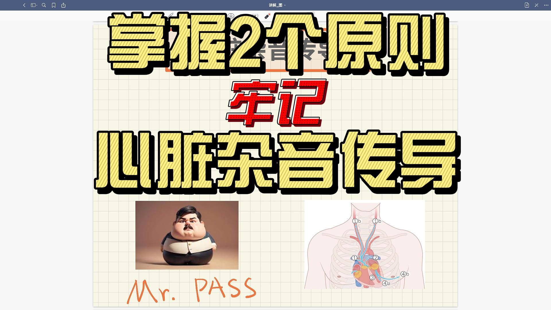 【鉴别】心脏杂音传导时相?部位?瓣膜病变?