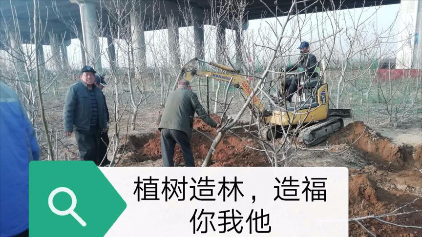 植树造林,造福你我他。