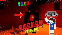 我的世界:诡异事件第一季 第338集 我的世界:红色羊毛组成的传送门,...