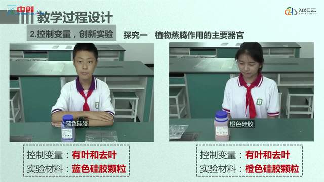 ...植物的蒸腾作用》【卢静静】(第八届全国中小学实验教学说课活动)