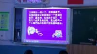 表里的生物_第二课时(二等奖)(长春版五年级上册)_T1486325