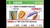 初中生物实验说课《观察种子的结构》【梅咏】(2017年全国中小学...