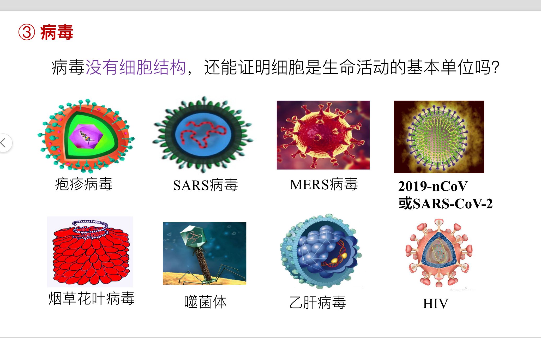 【新版】高中生物必修一1.1:细胞是生命活动的基本单位