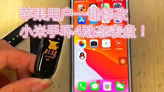 bin为结尾的文件