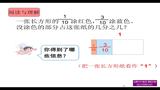 小学数学 三年级上册 分数 分数减法【小学数学微课】