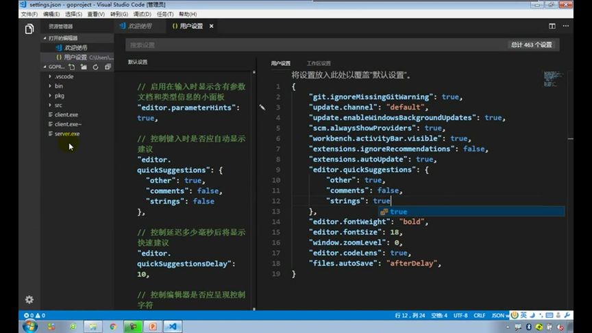 Go语数据结构与算法:第46讲,vscode插件的安装