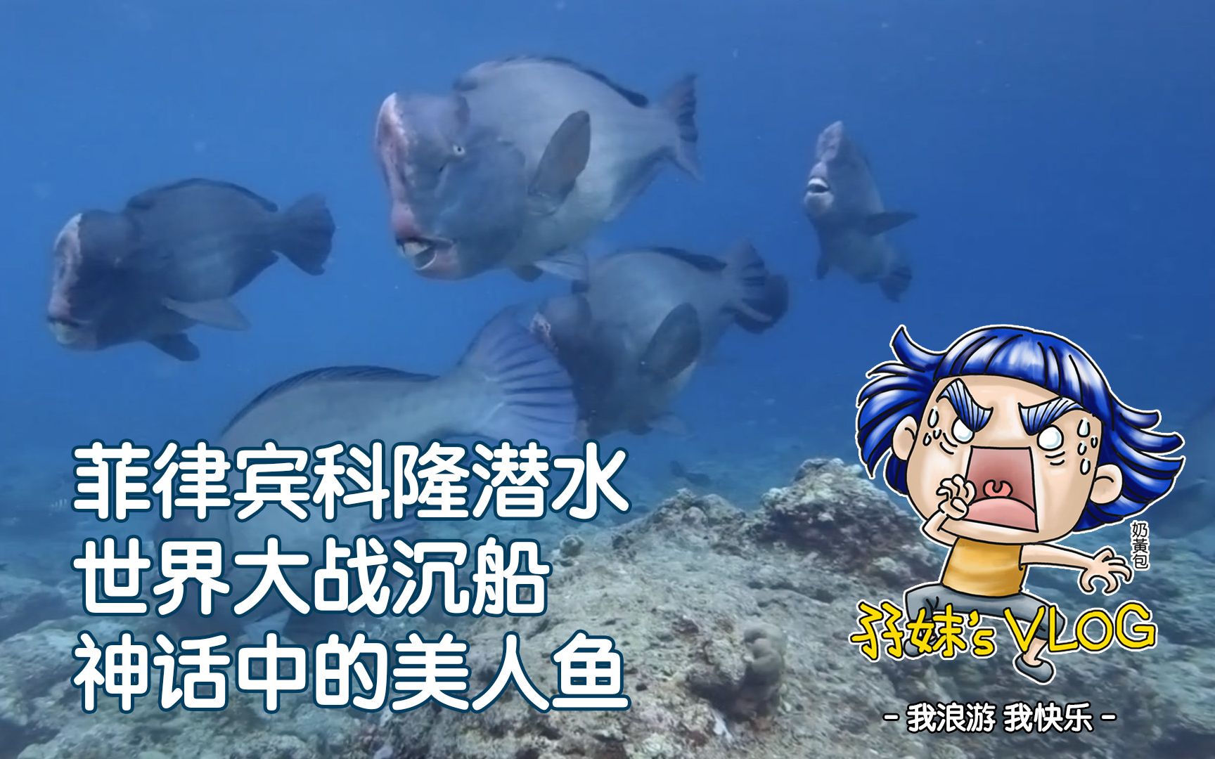菲律宾科隆潜水除了最著名的世界大战沉船,还有神话中的美人鱼