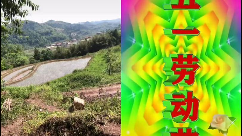 中国劳模参加(五一)节目