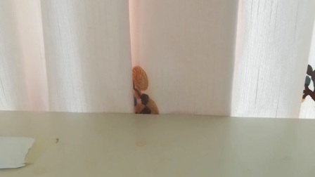 森宝积木9152速组评测