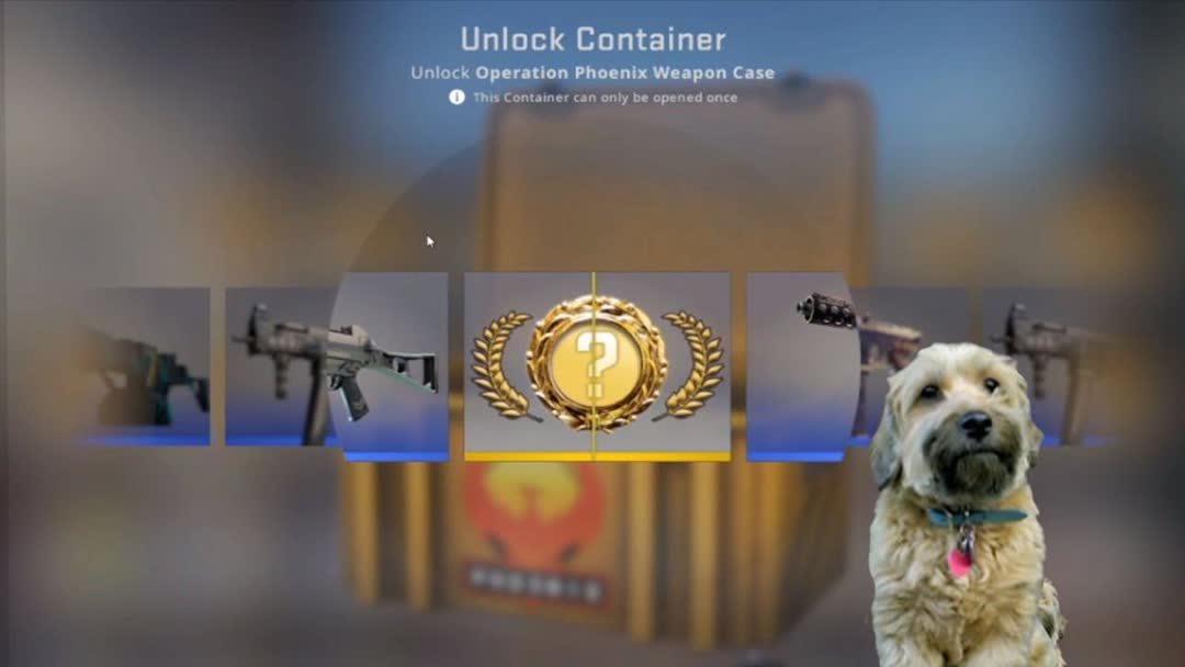 【CSGO】他的狗狗开了个稀有的刀……