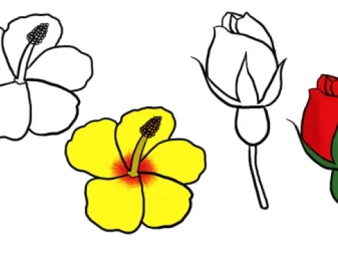 几笔画玫瑰花, 木槿花, 1分钟绘画教程视频, 教不会画画的你学画花朵, ...