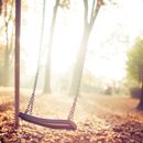 小机灵在线解说 