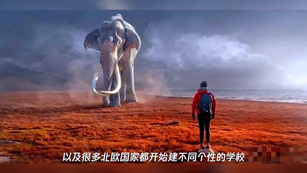 你在让孩子看中央电视台的开学第一课,我在听马云讲开学第一课