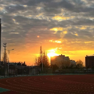 田中雅之 