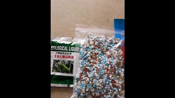 小改变,大产出,生物技术在农业上的应用越来越受欢迎⊙ω⊙