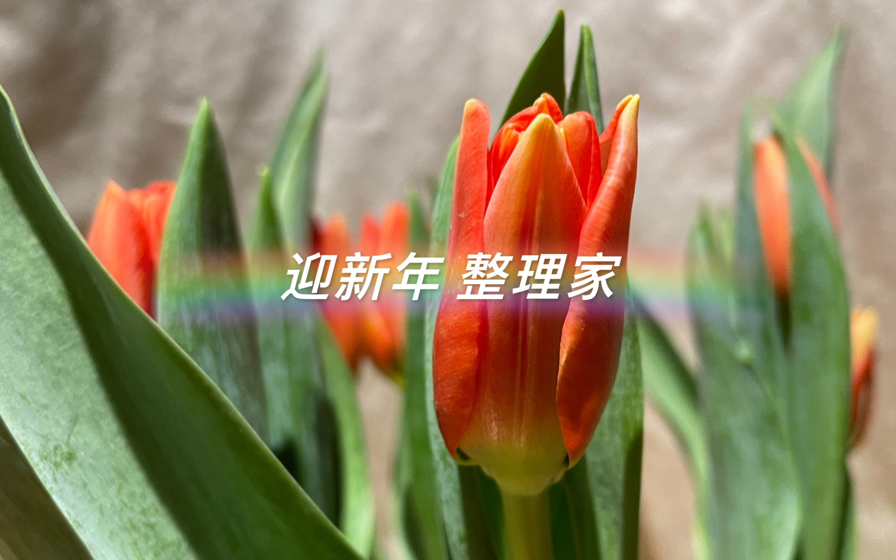 简单生活|一次性断舍离30件物品挑战
