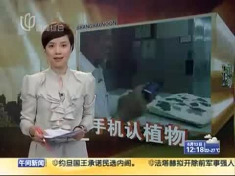 美国 手机应用程序识别植物类别