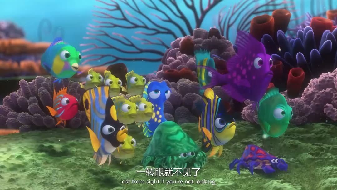 海底总动员小丑鱼精彩片段