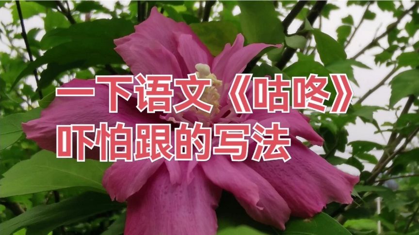 一下语文《咕咚》,吓怕跟的写法,吓破胆,不怕牺牲,跟你说