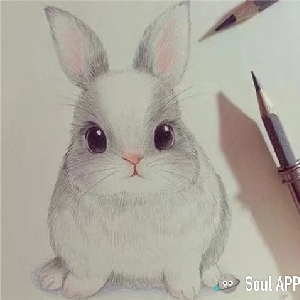 无所不阅 