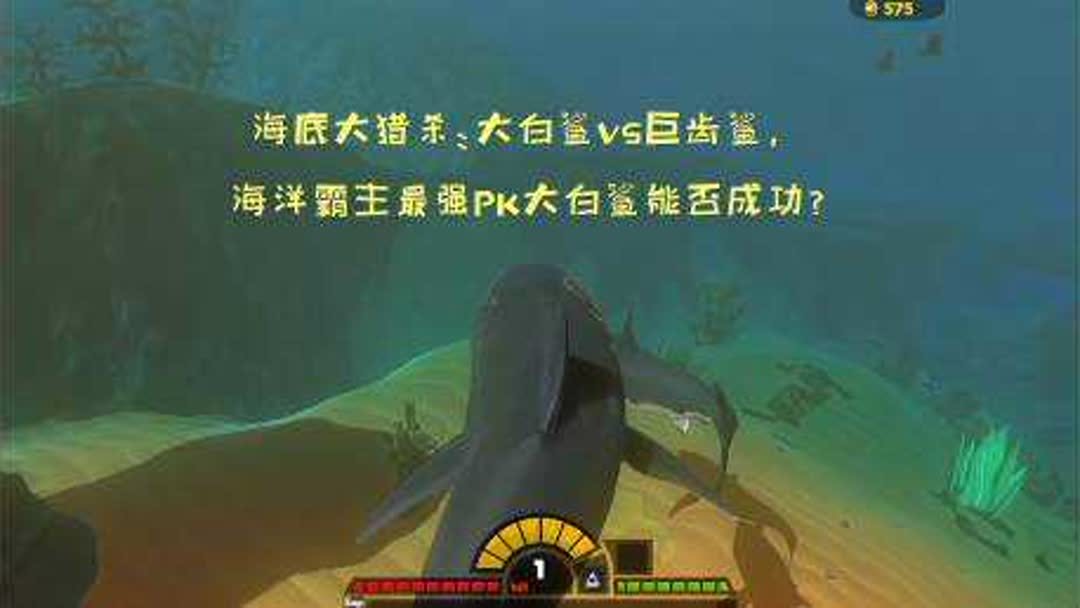 海底大猎杀:大白鲨VS巨齿鲨,海洋霸主最强PK大白鲨能否成功