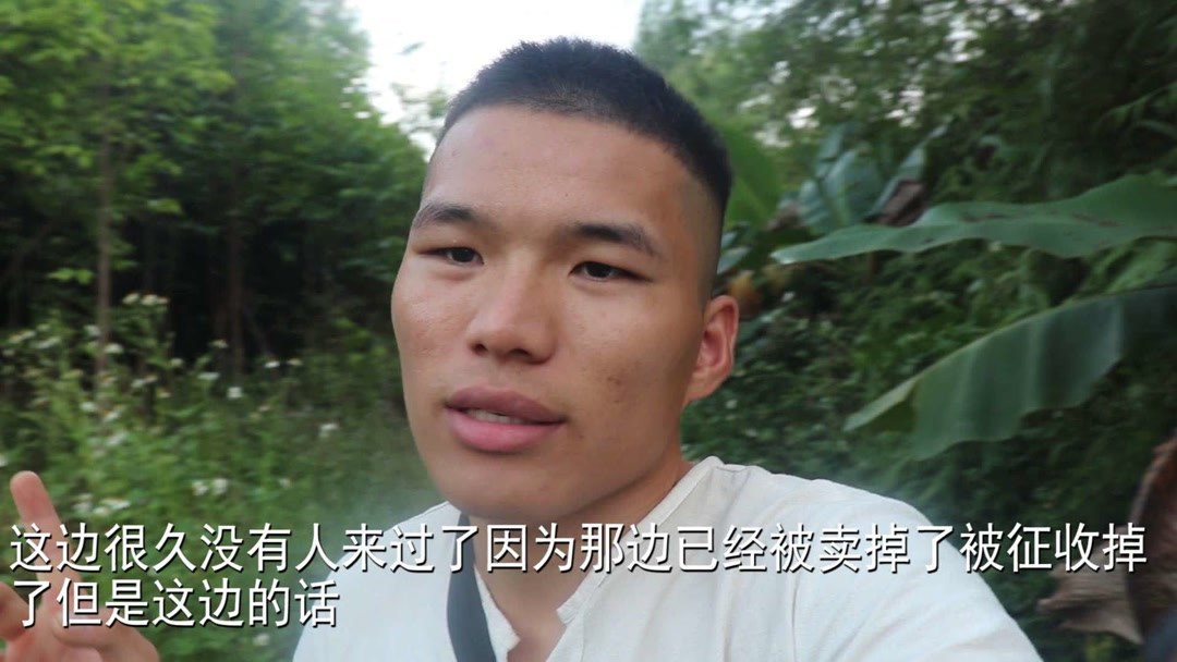 沉香树浑身是宝,不仅是名贵药材,还可以泡酒,治鼻炎