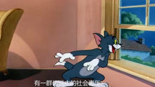 用不同方式打开猫和老鼠,太欢乐了
