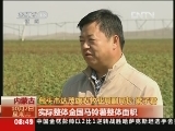 [视频]大秋收·内蒙古土豆调查报告:农户急需常态化信息服务