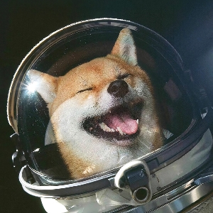 高中数小陈-上岸版 