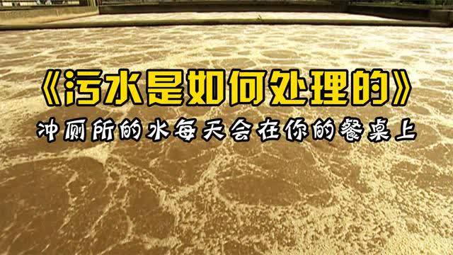 污水处理,你敢相信吗?冲厕所的水每天都会出现在你的餐桌上!