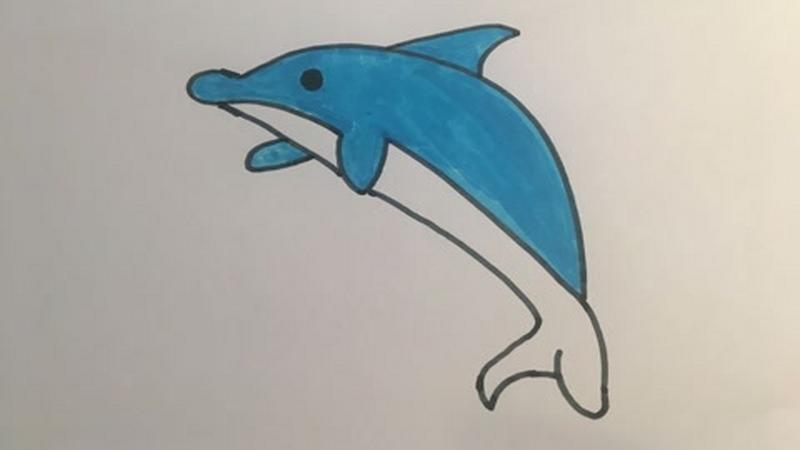 「简笔画19」可爱小海豚的画法