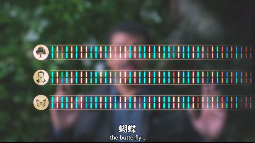 生物多样性之进化树,万类霜天竞自由