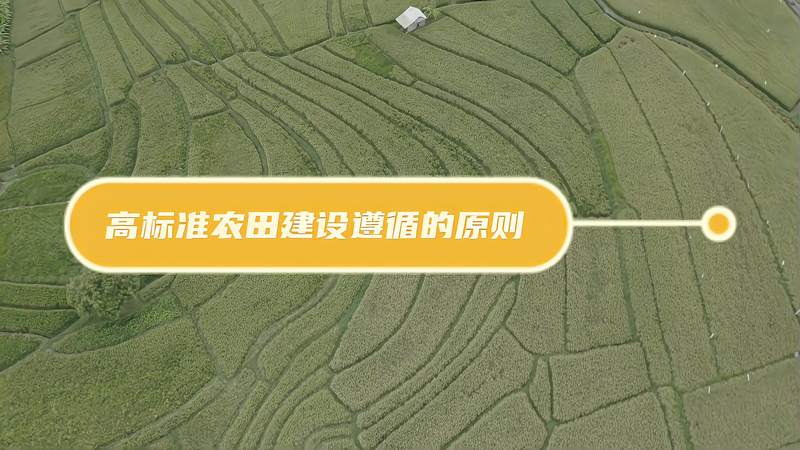 高标准农田建设需遵循的原则