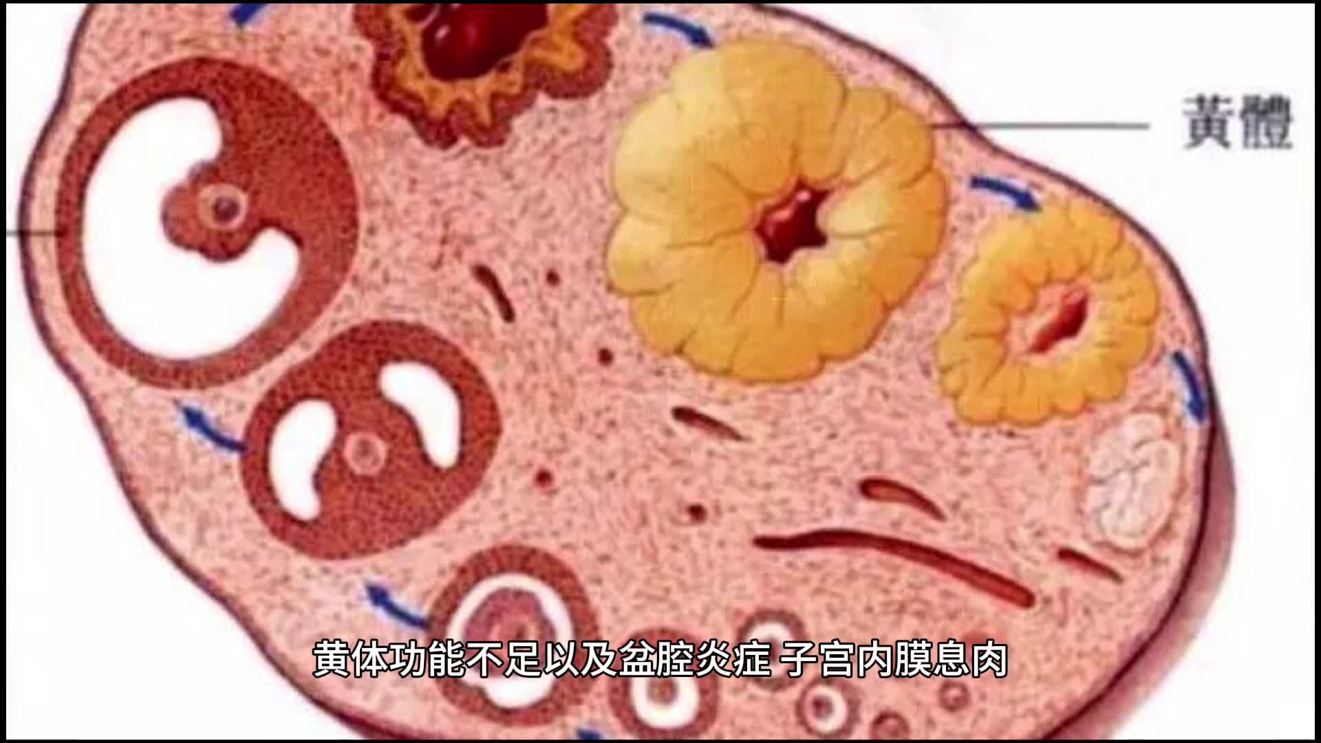 ...正常的月经周期应该是21天到35天。最标准的月经周期是28天。28加...