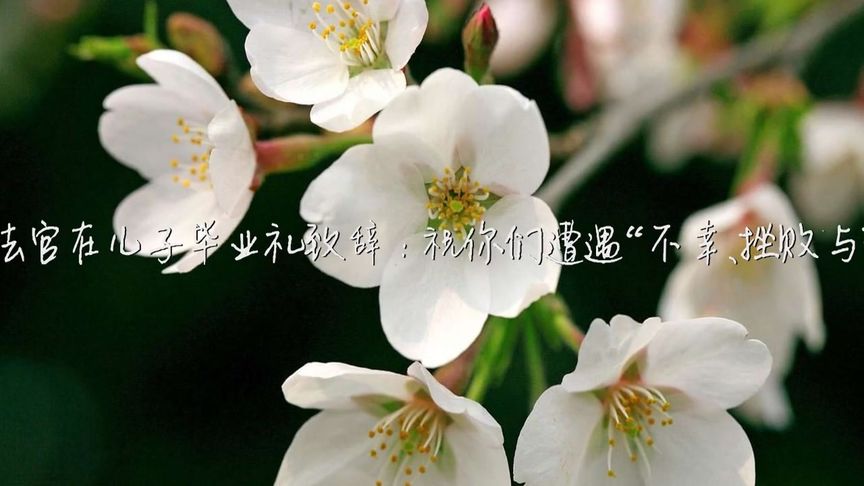 美大法官在儿子毕业礼致辞:祝你们遭遇“不幸、挫败与背叛”