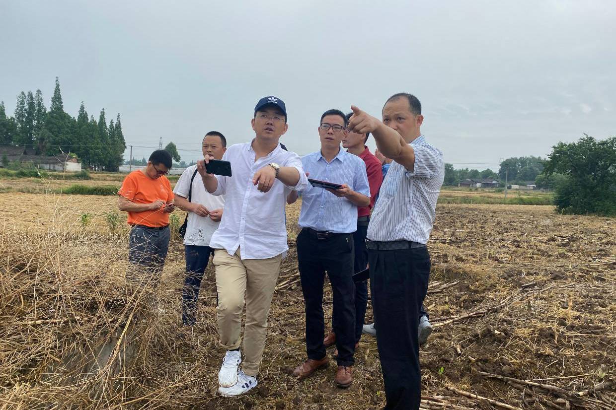 如何在湖北荆州平原找到好风水,这个案例确实可以借鉴一下