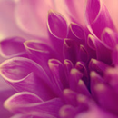 仰望星空生活乐 