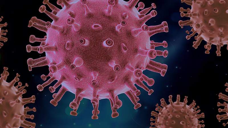 苏州发现奥密克戎新变异株,与全球已知毒株均不同源