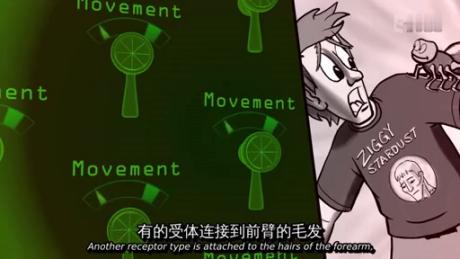 「译学馆」神经系统是怎么工作的?