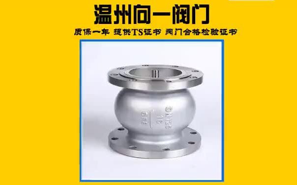 DN400316不锈钢逆流阀,止回阀,DN300H42H-16C铸钢立式摇摆式止回...