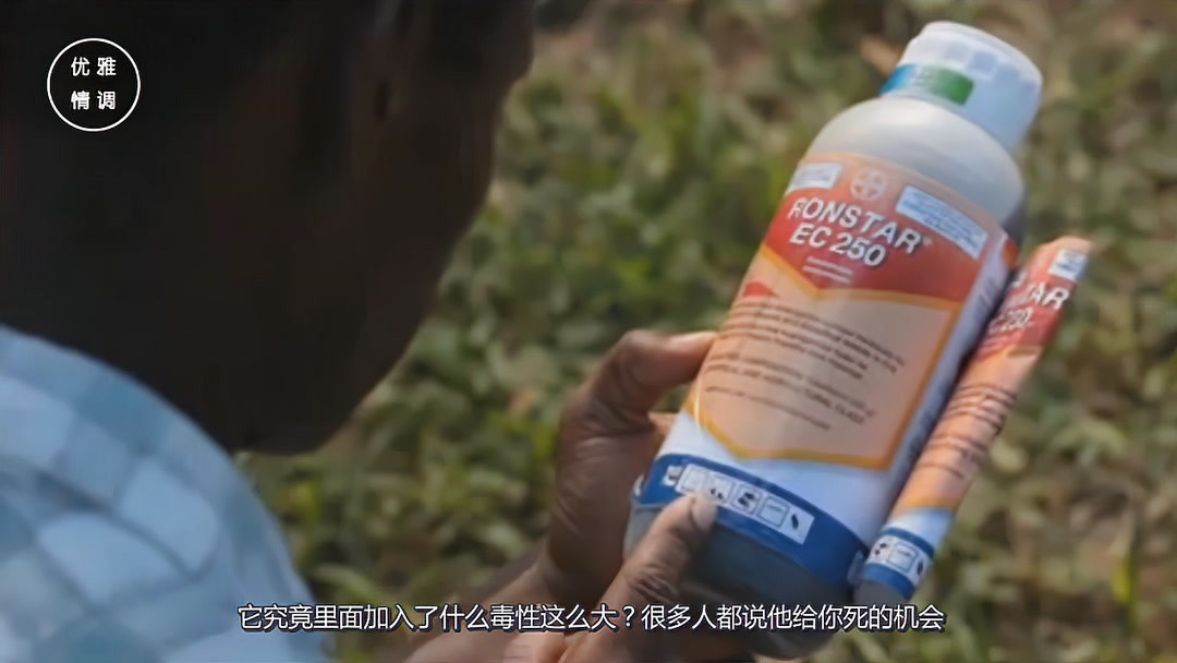 知道百草枯的毒性有多大吗?不小心服一口,会有什么样的后果?